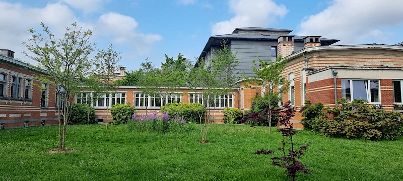 UDENHOUT TREES | UVC Brugmann ziekenhuis, Brussel